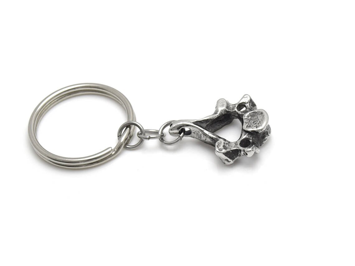 Human Cervical Vertebra Keychain Spine Bone Charm Key | Etsy