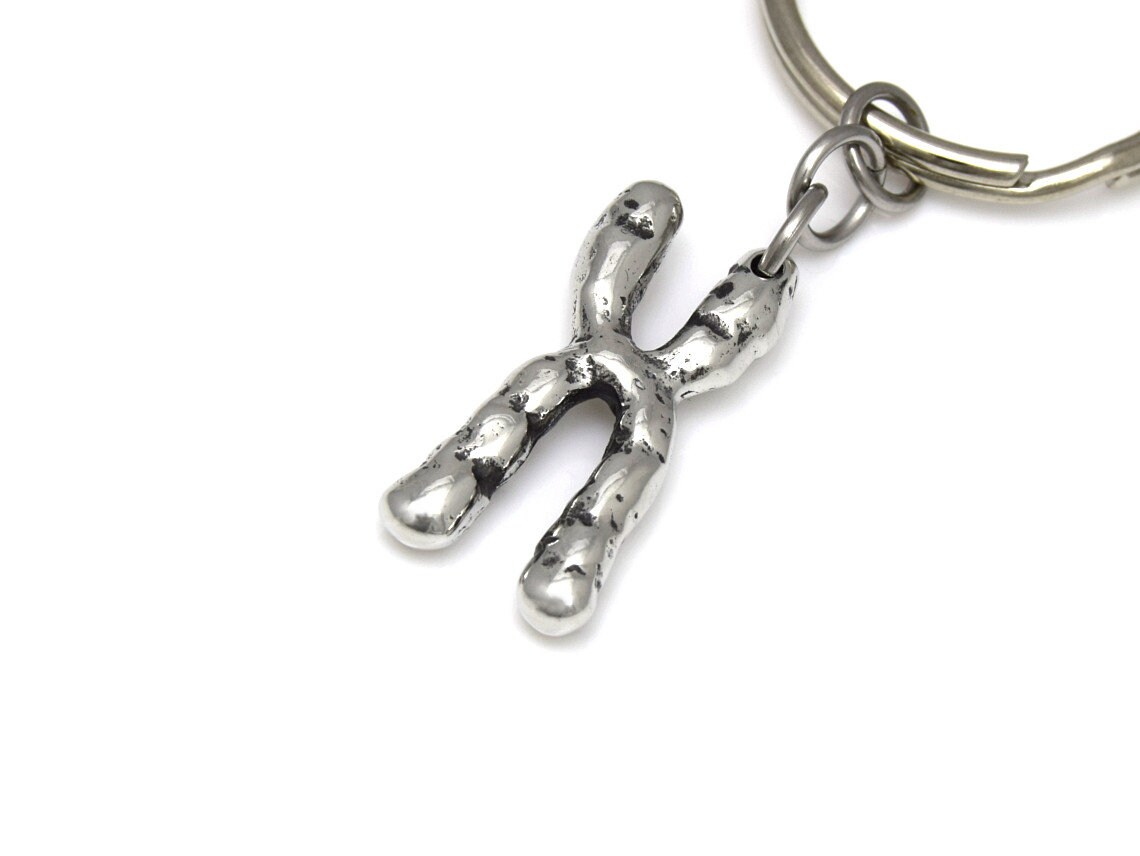 Pewter Chromosome Keychain Genetic Science Key Ring Biology - Etsy