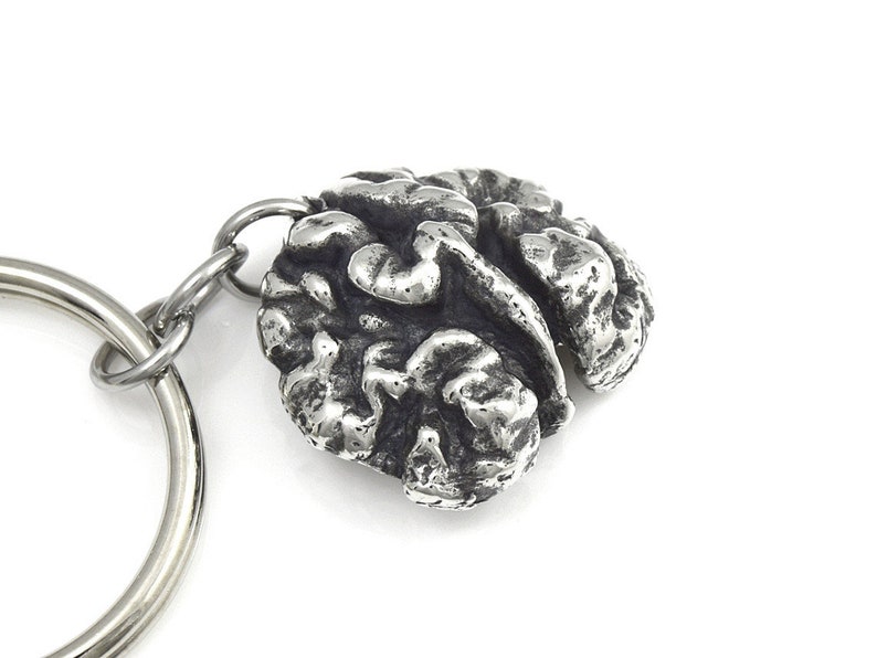 Walnut Keychain Nature Nut Food Keyring in Pewter - Etsy