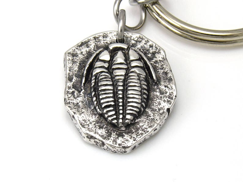 Trilobite Fossil Keychain Arthropod Archaeology Key Holder in - Etsy