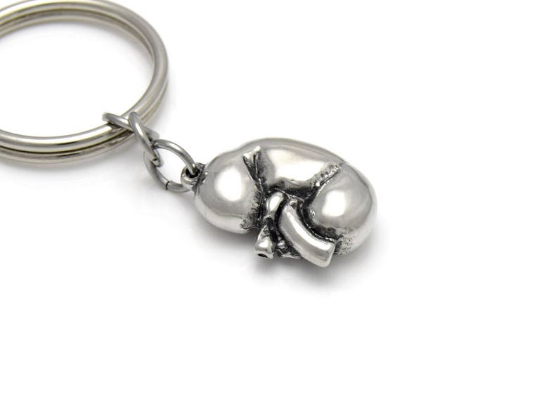 Handmade Kidney Charm Keychain Human Anatomy Renal | Etsy