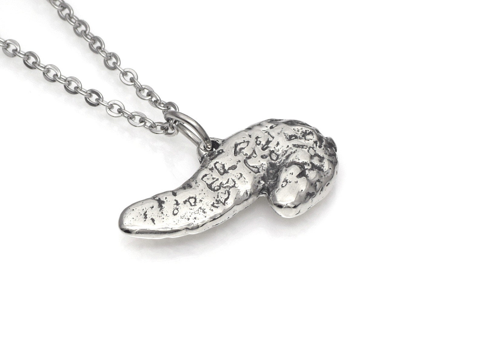 Anatomical Pancreas Necklace Digestive System Charm Diabetes - Etsy