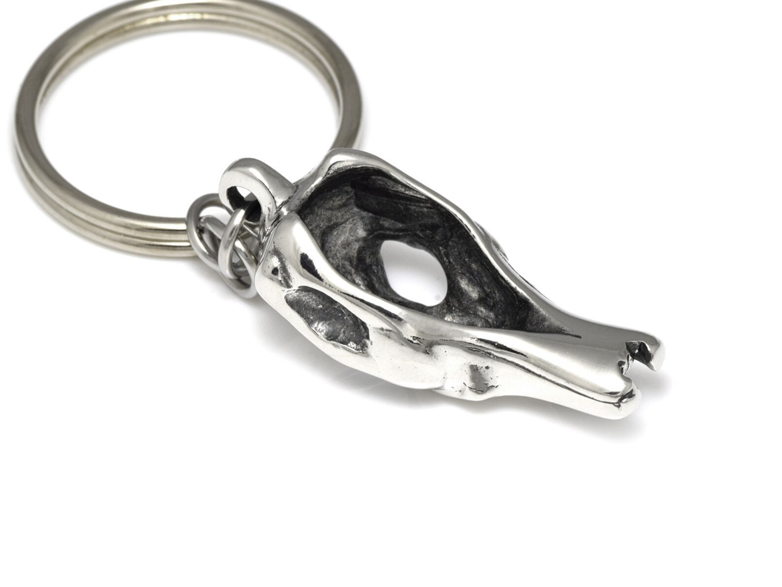 Platypus Skull Keychain Animal Cranium Keyring Handmade Key - Etsy