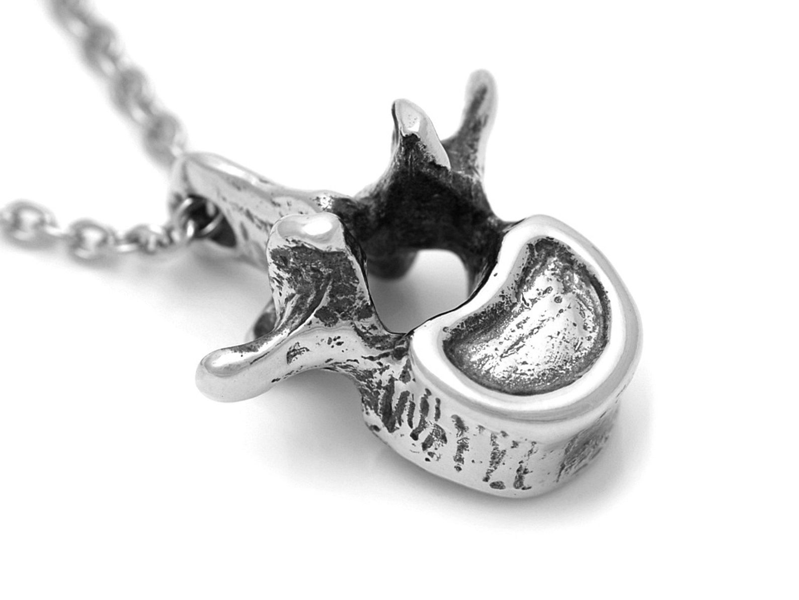Lumbar Vertebrae Necklace, Handmade Anatomical Pendant, Spine Charm ...