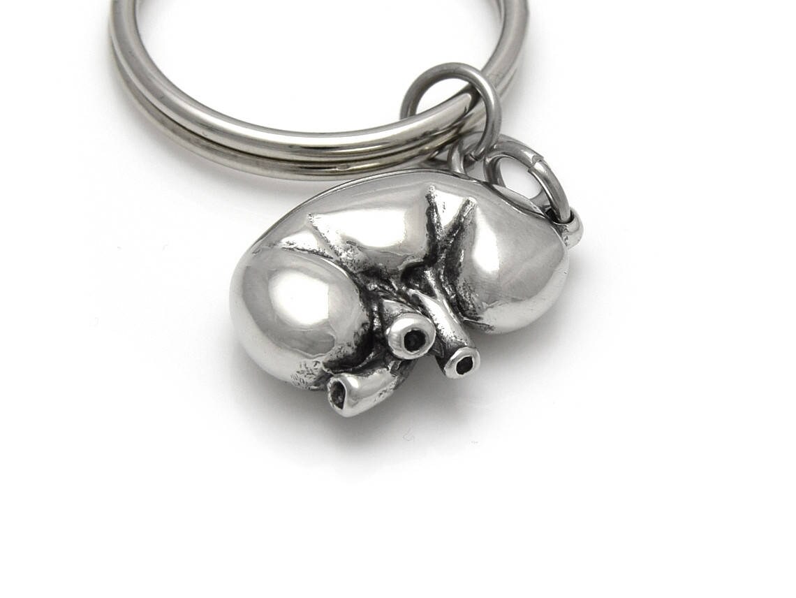 Handmade Kidney Charm Keychain Human Anatomy Renal | Etsy