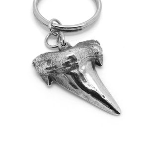 Metal Shark Tooth Keychain in Pewter, Handmade Animal Fang Key Ring - Etsy