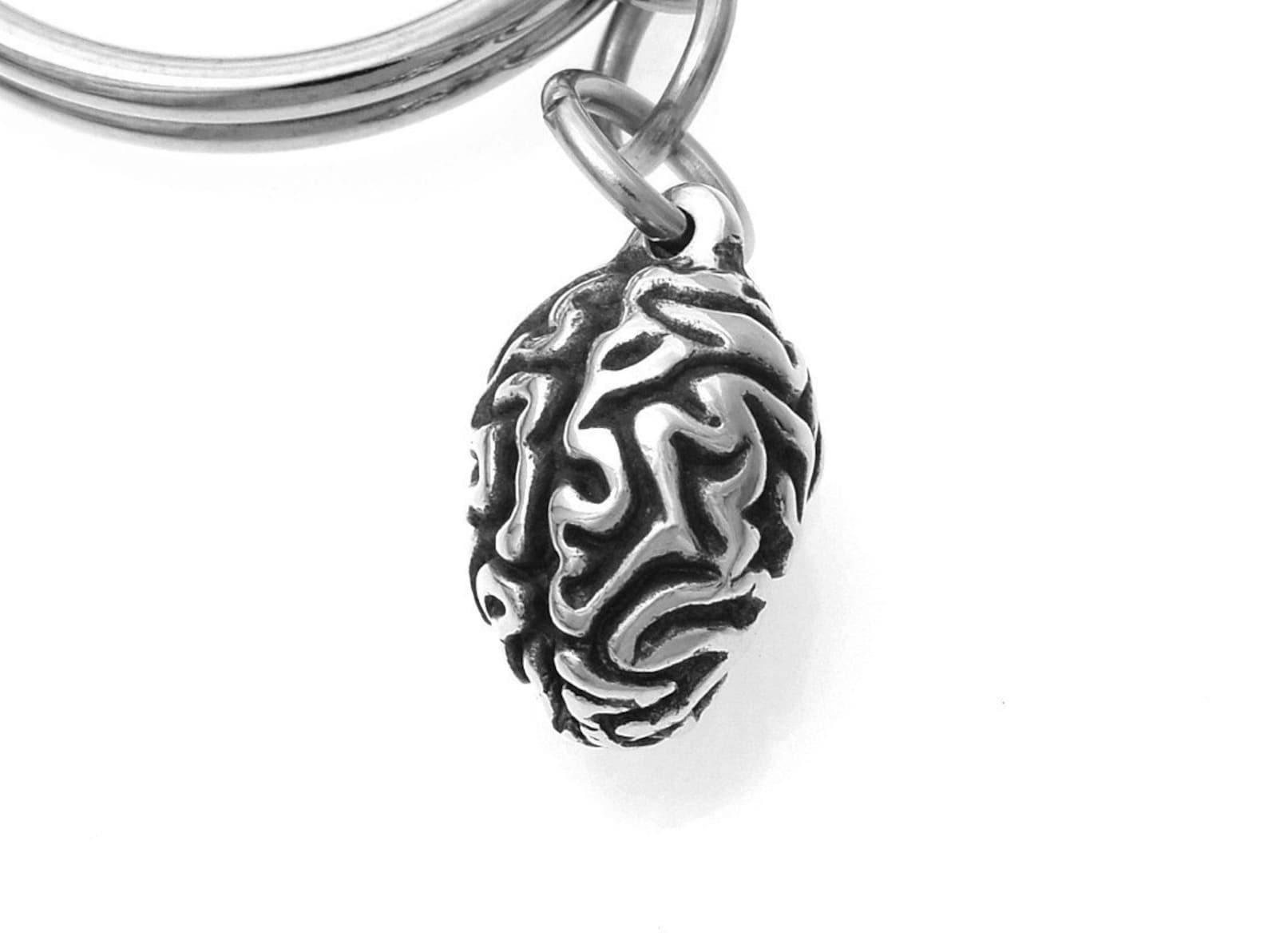 Small Human Brain Keychain Anatomical Keyring in Pewter - Etsy