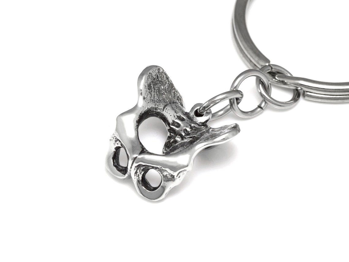 Pelvis Keychain Human Anatomy Pelvic Bone Keyring in Pewter - Etsy