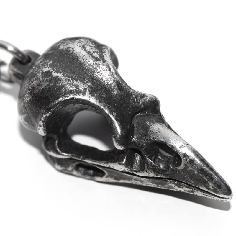 Jackdaw - Etsy