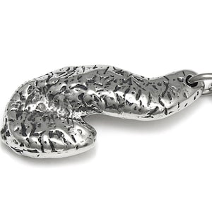 Anatomical Pancreas Necklace, Digestive System Pendant, Diabetes ...