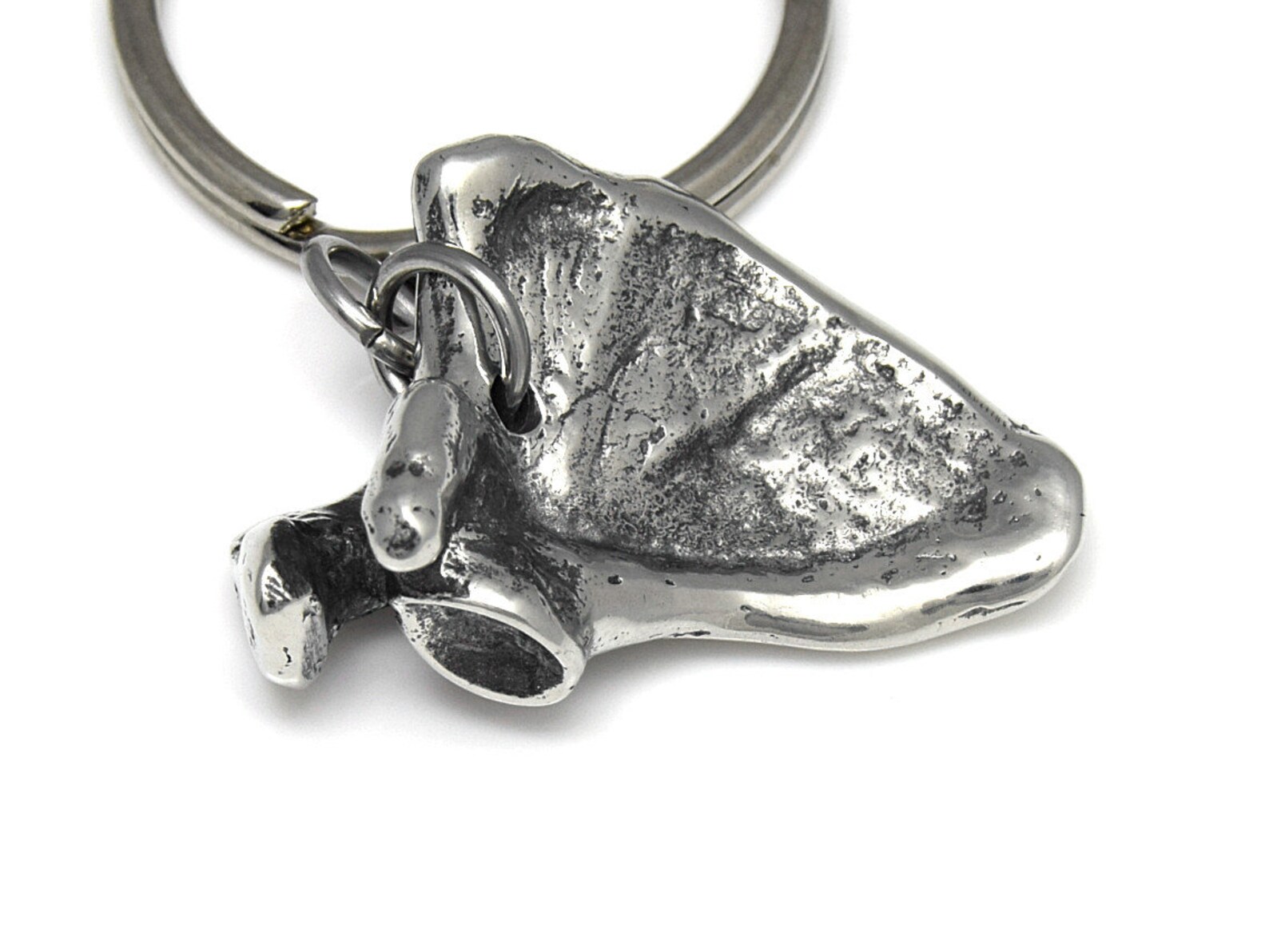 Scapula Keychain Anatomical Human Shoulder Bone Key Chain in | Etsy