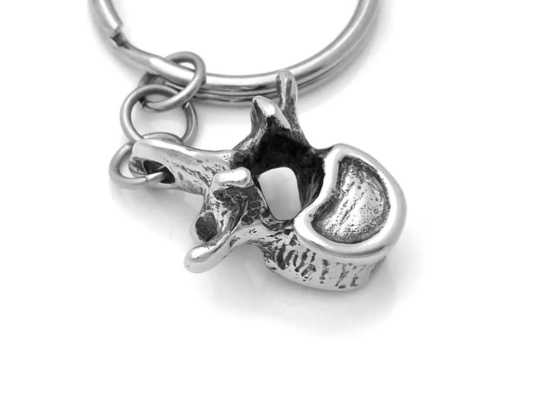 Handmade Lumbar Vertebrae Keychain in Pewter, Scoliosis Chiropractor - Etsy