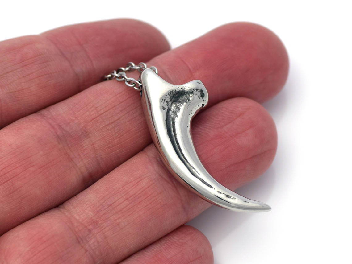 Velociraptor Claw Necklace Dinosaur Raptor Pendant | Etsy
