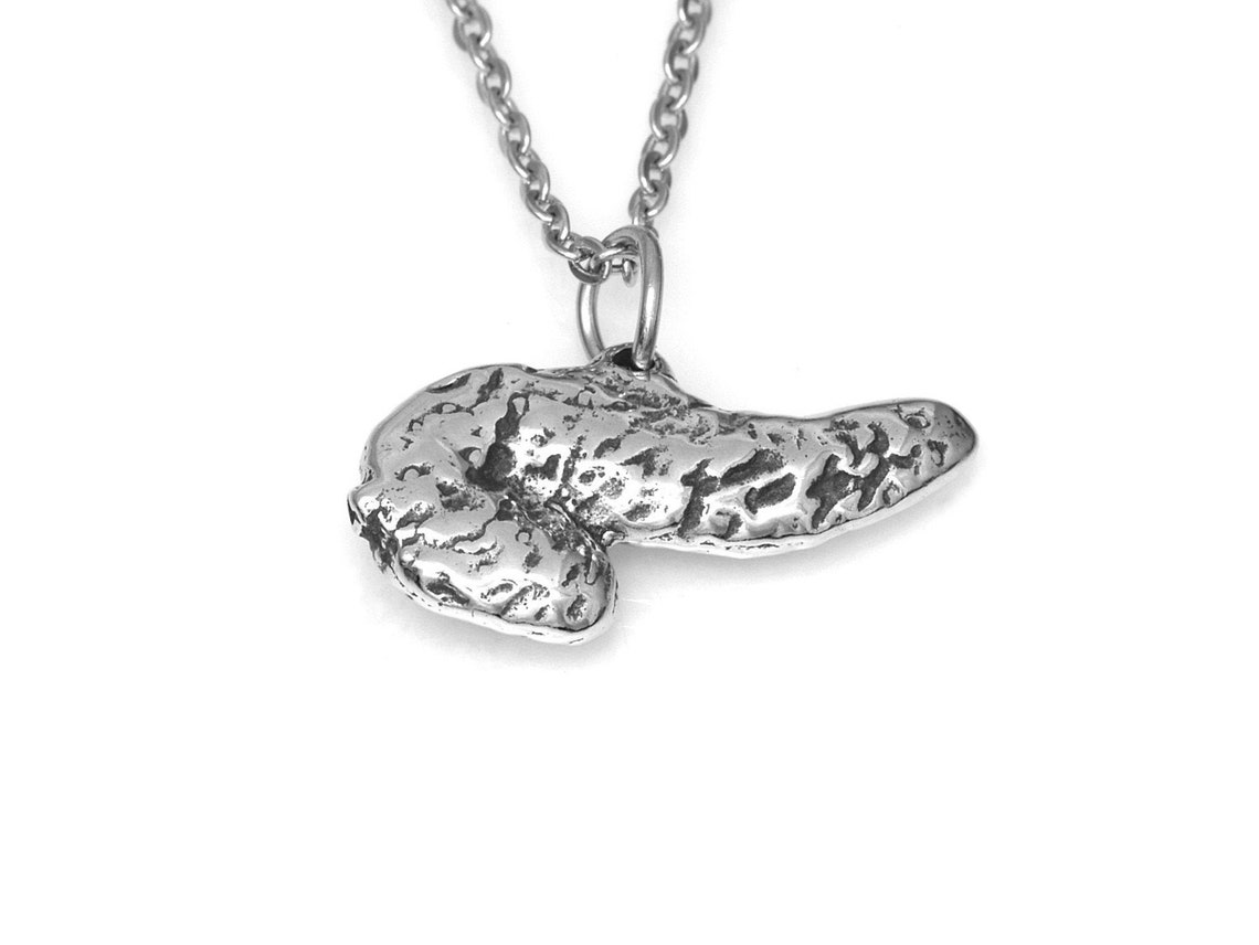 Anatomical Pancreas Necklace Digestive System Charm Diabetes | Etsy