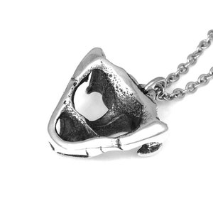 Frog Skull Necklace, Amphibia Head Jewelry in Pewter - Etsy