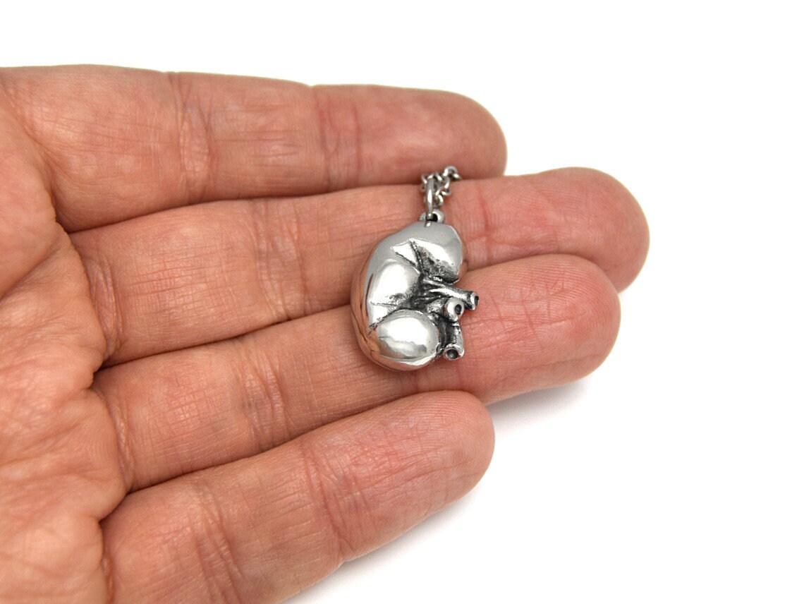 Anatomical Kidney Necklace Handmade Human Renal Anatomy - Etsy