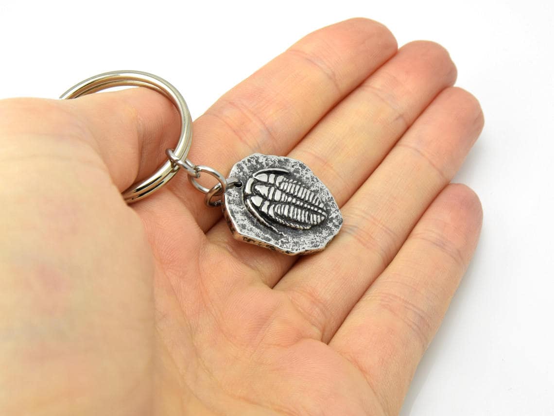 Trilobite Fossil Keychain Arthropod Archaeology Key Holder in - Etsy