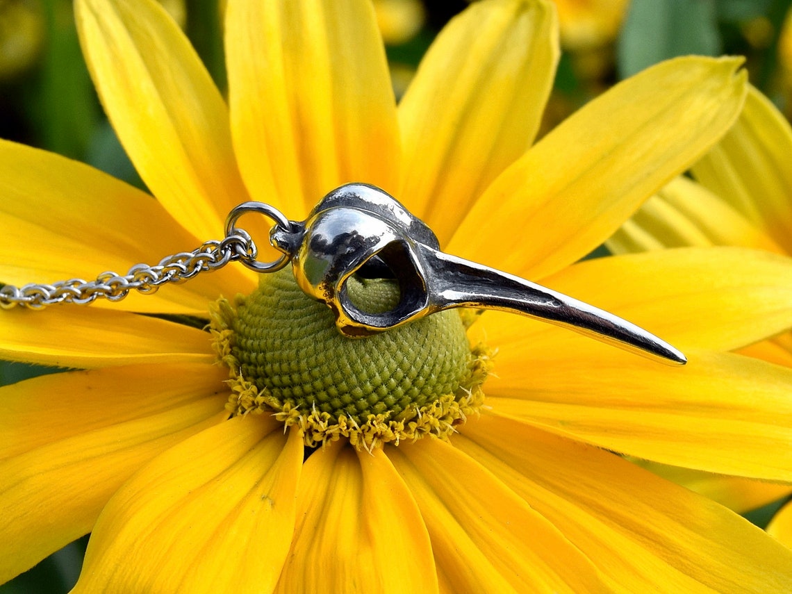 Hummingbird Skull Pendant Necklace, Bird Charm Jewelry - Etsy