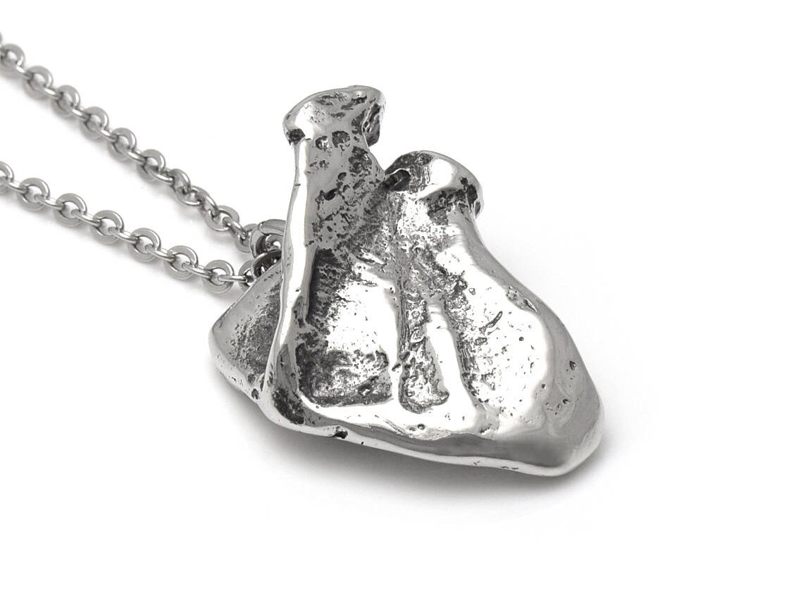 Human Scapula Necklace Shoulder Bone Pendant Anatomical - Etsy