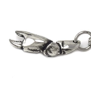 Crab Claw Necklace Crustacean Pendant Animal Claw Jewelry in - Etsy