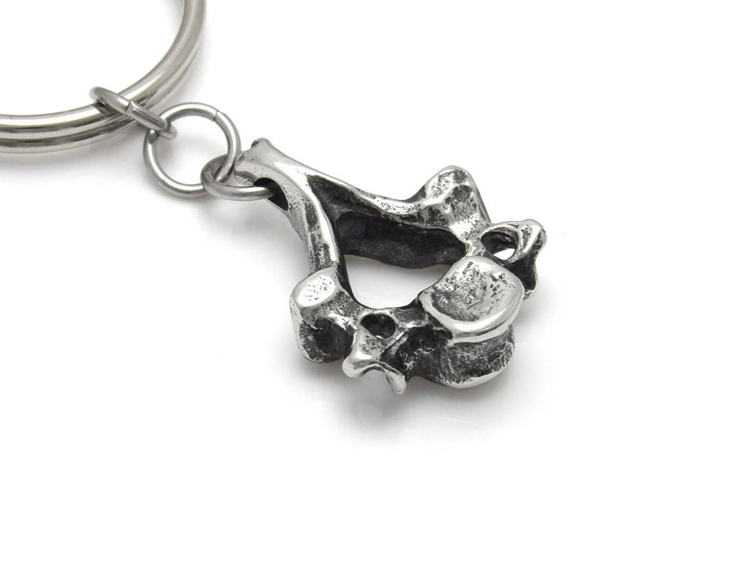 Human Cervical Vertebra Keychain Spine Bone Charm Key - Etsy