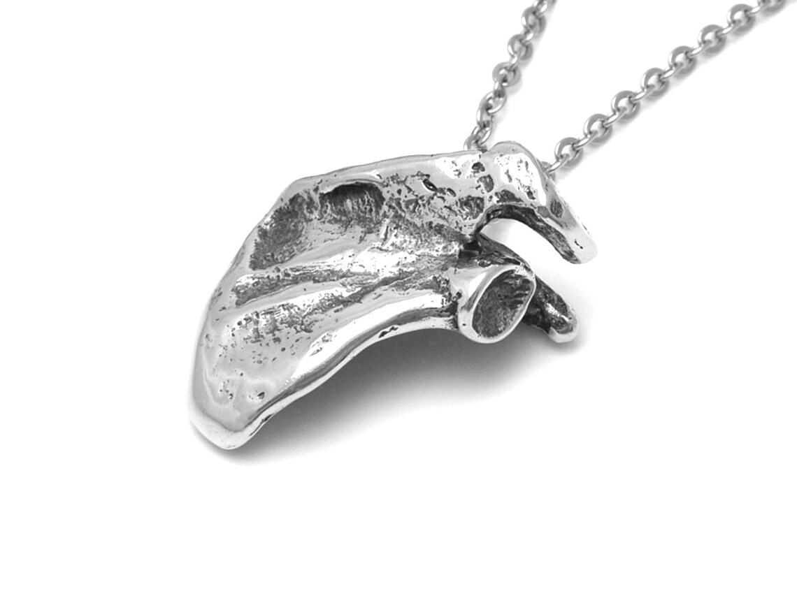 Human Scapula Necklace Shoulder Bone Pendant Anatomical - Etsy