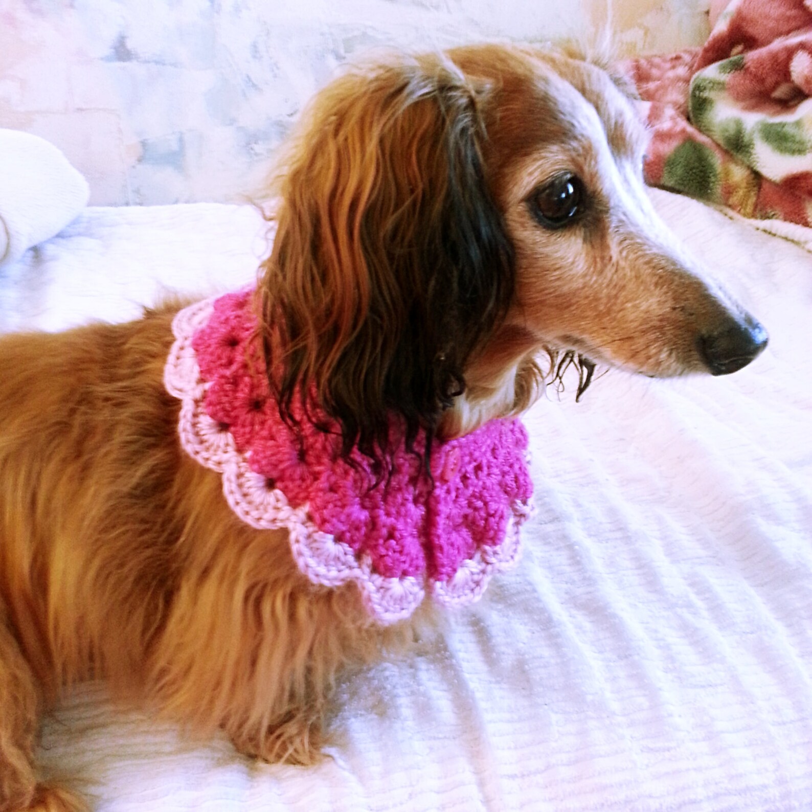 Dog Scarf, Dog Collar, Dog Bandana, Dog Cowl, Crocheted Scarf, Cat Cowl ...