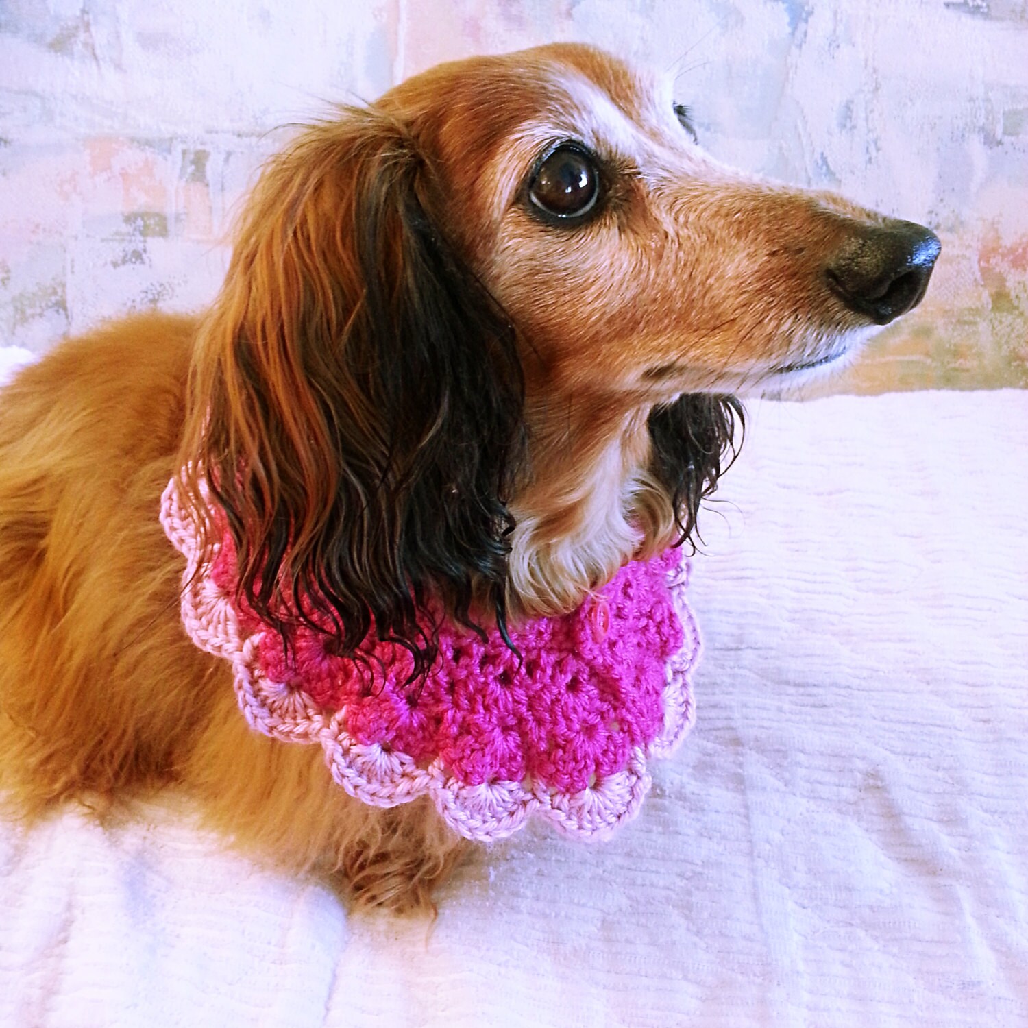 Dog Scarf, Dog Collar, Dog Bandana, Dog Cowl, Crocheted Scarf, Cat Cowl ...