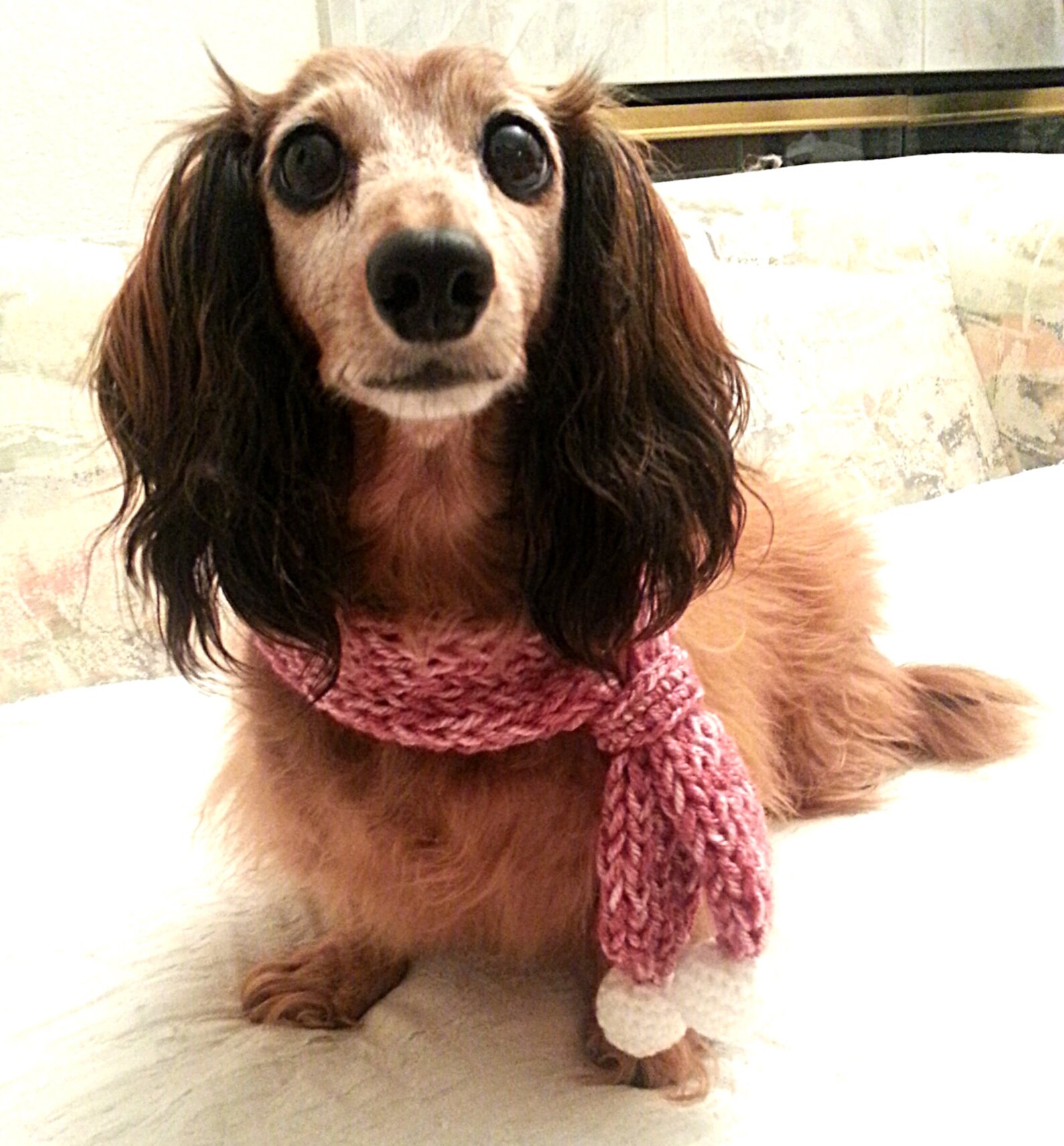 Dog Scarf, Dog Collar, Dog Bandana, Dog Cowl, Crocheted Scarf, Cat Cowl ...