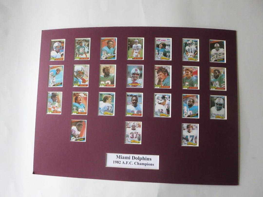The Miami Dolphins Coached by Don Shula Are the 1982 AFC Champions - Etsy