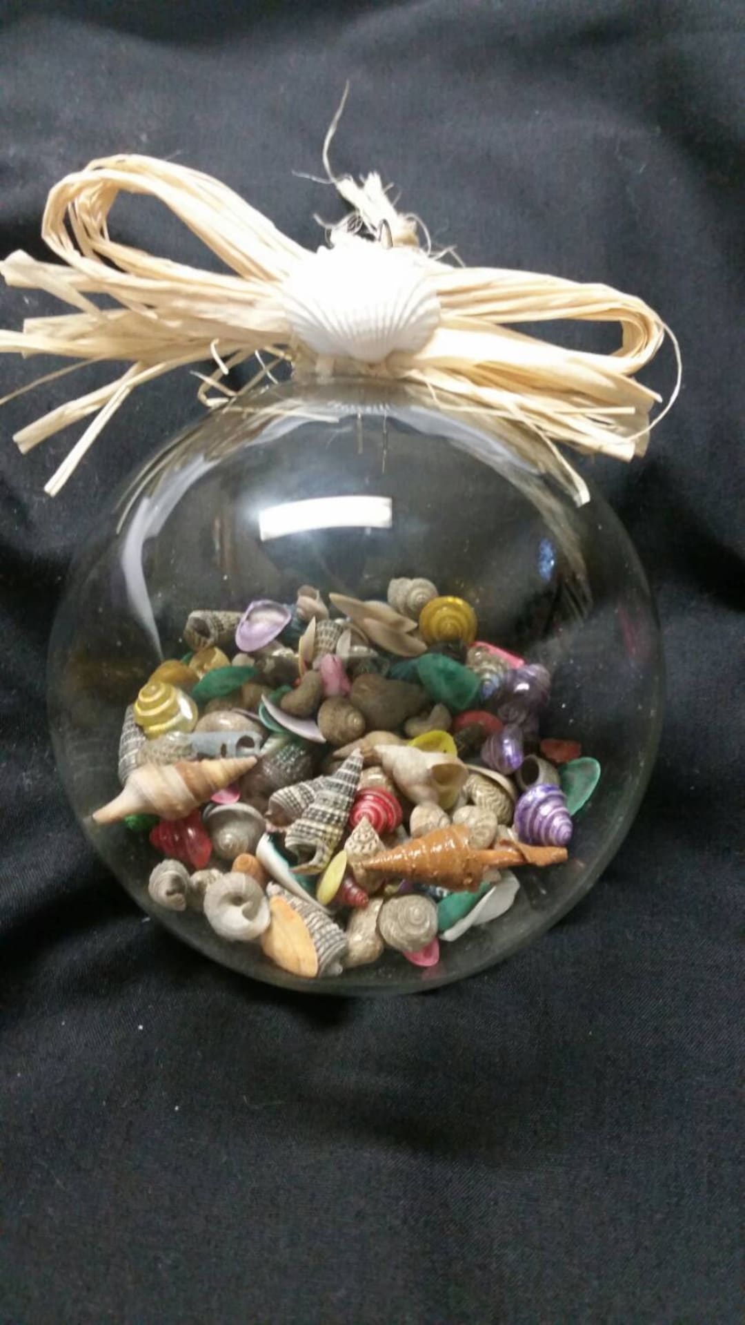 A Sea Shell Filled Glass Ornament - Etsy