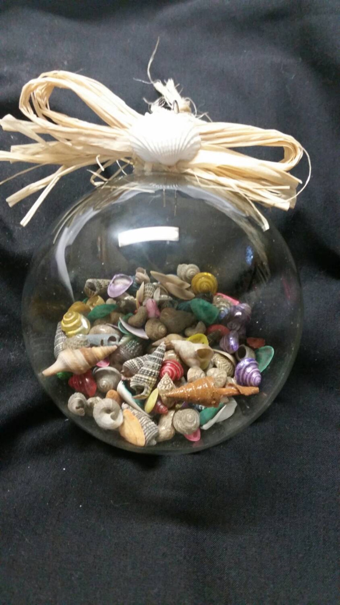 A Sea Shell Filled Glass Ornament - Etsy