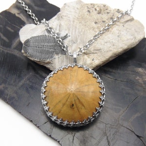 Fossil Sea Urchin Necklace in Sterling Silver - Fossil Jewelry ...