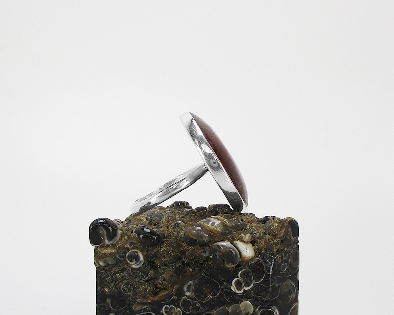 Dinosaur Bone Ring in Sterling Silver US Size 8 Fossil - Etsy