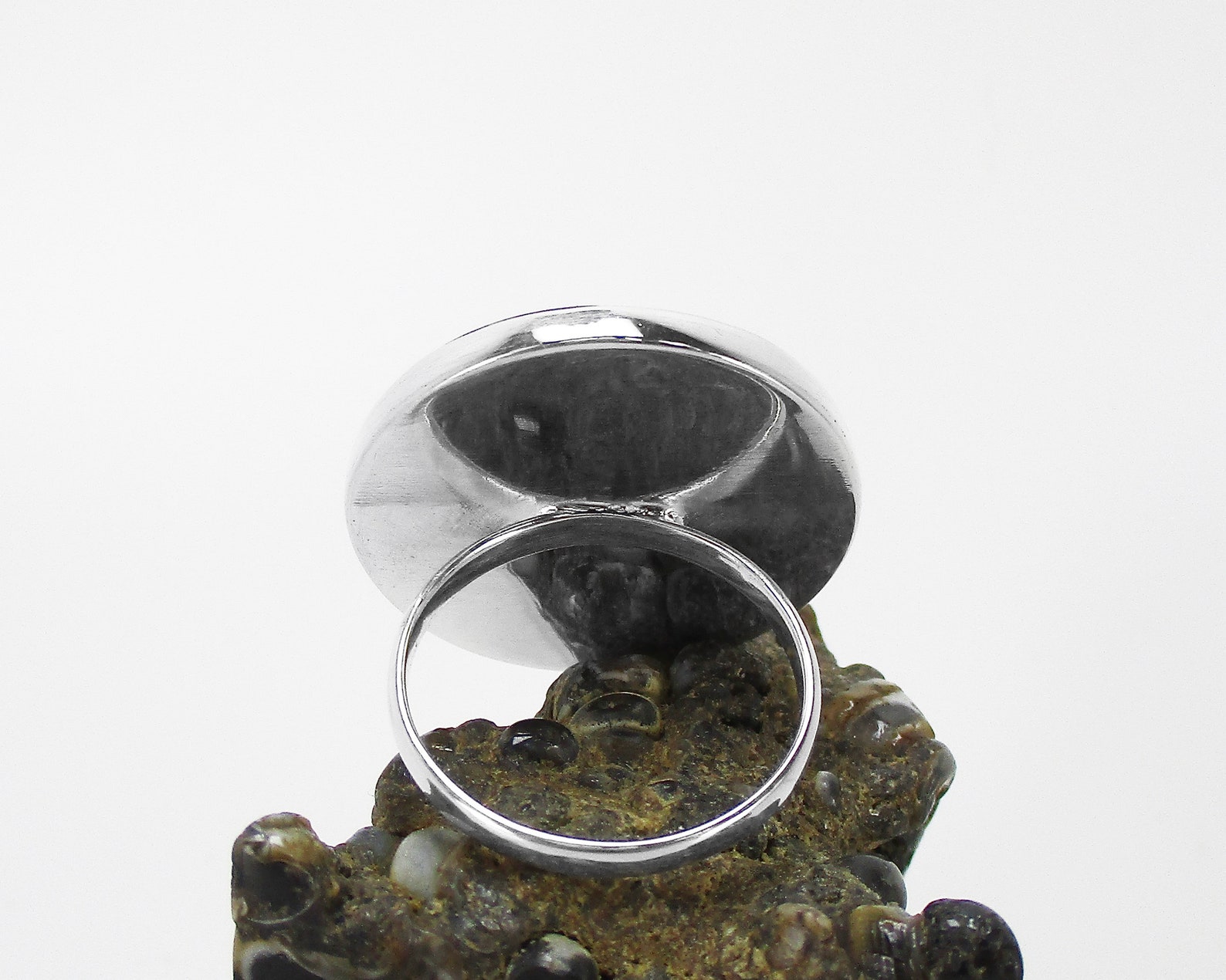 Dinosaur Bone Ring in Sterling Silver US Size 8 Fossil - Etsy