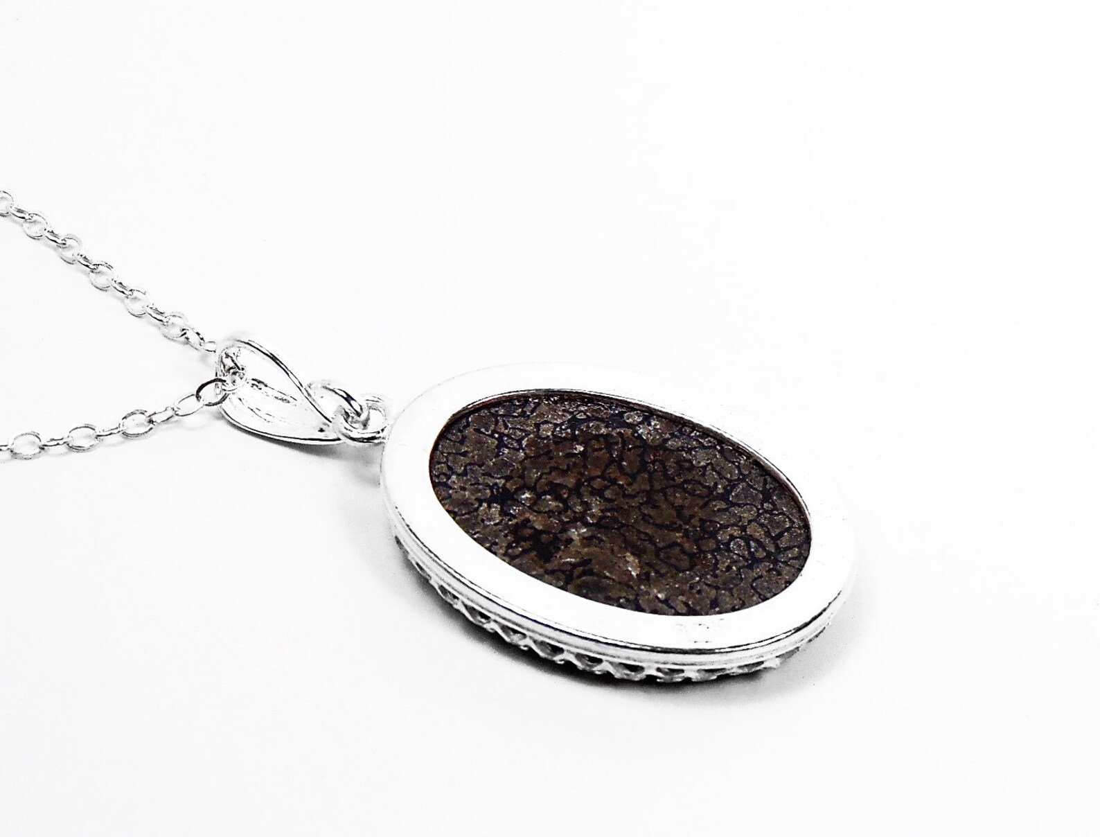 Dinosaur Bone Necklace in Sterling Silver Fossil Jewelry - Etsy