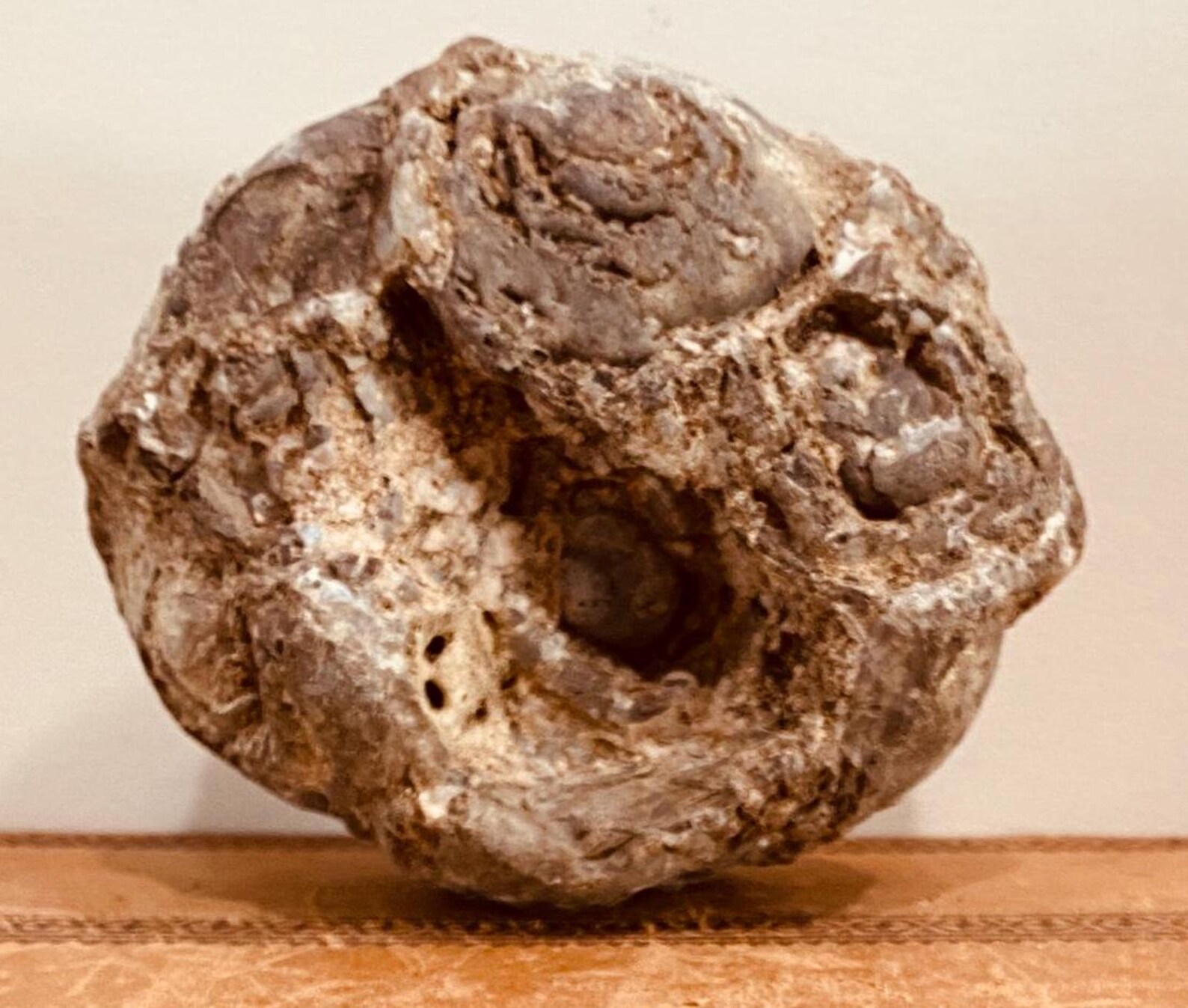 Rock of Many Faces Large Fossil Multiple Embedded Formations Flint ...