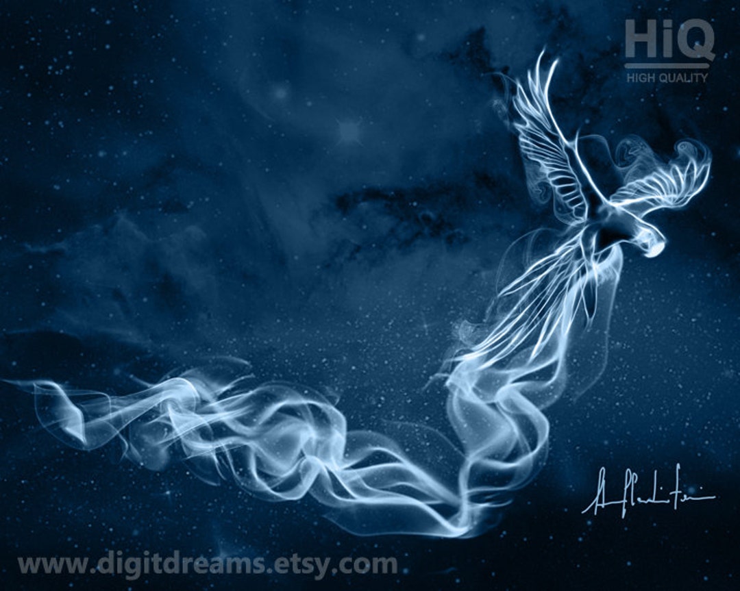 S056: Blue-and-yellow Macaw - Etsy