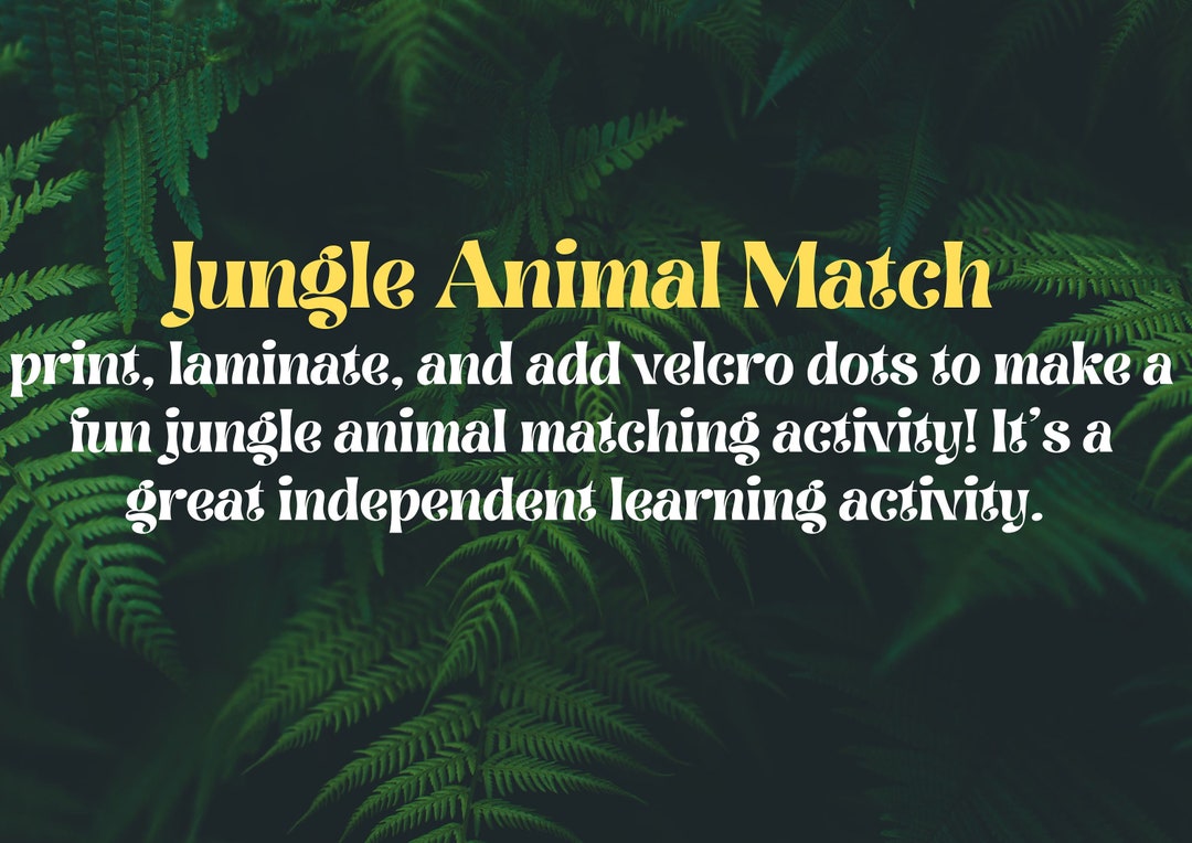 Jungle Animal Matching, Digital, Download, Digital Download, Printable ...