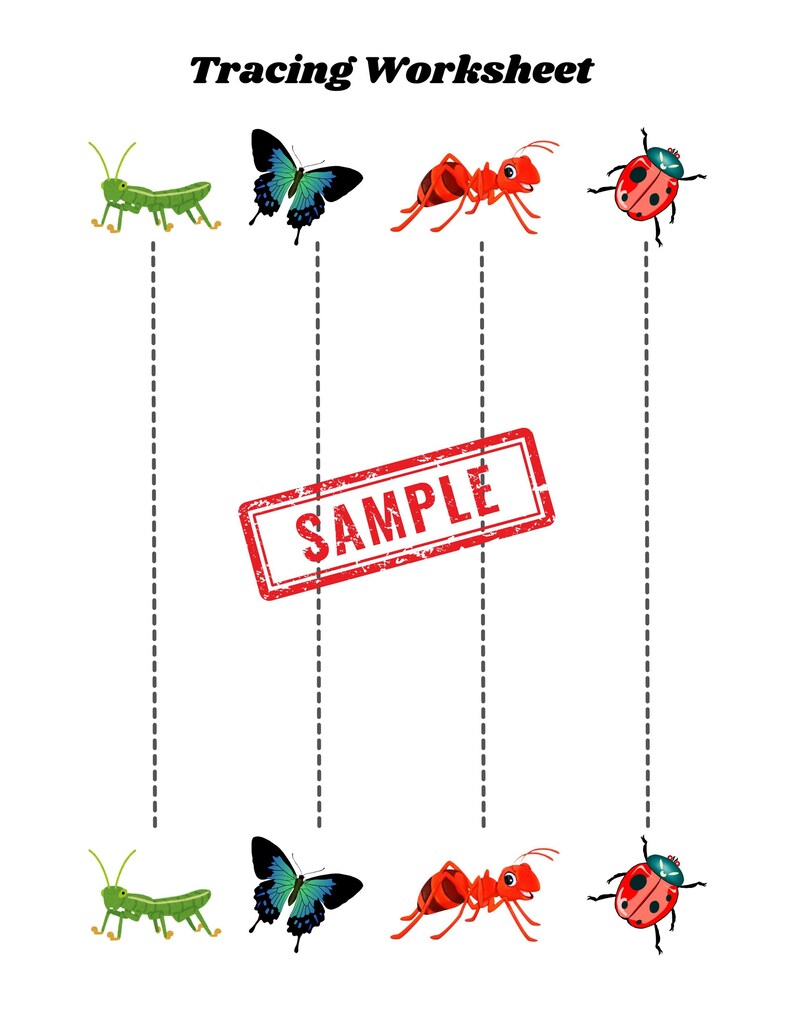 Bug, Line Tracing, 3 Page, Worksheet, Preschool, Pre-k, Printable ...