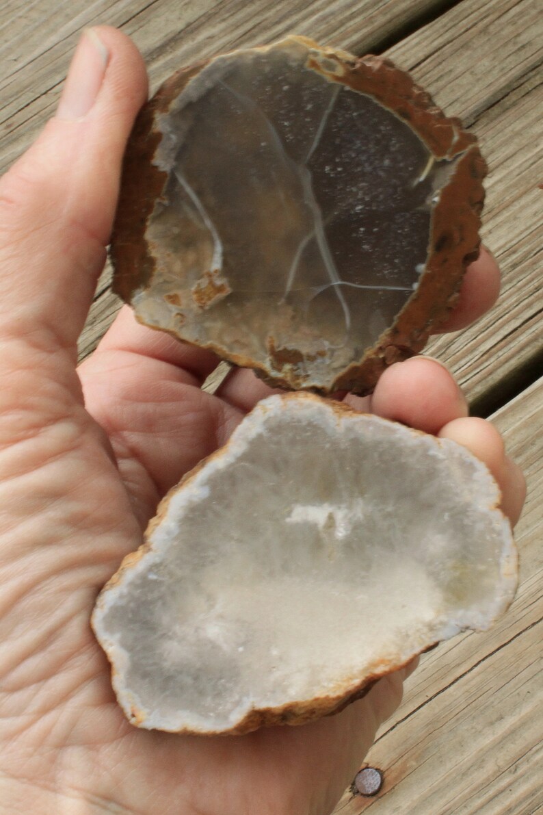 Small Polished Geode or Thunderegg Halves - Etsy