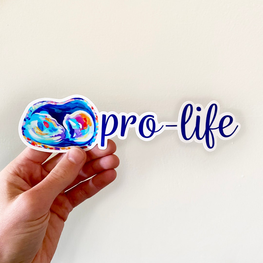 BUMPER STICKER, Pro-life Rainbow Sonogram Ultrasound Art Sticker - Etsy