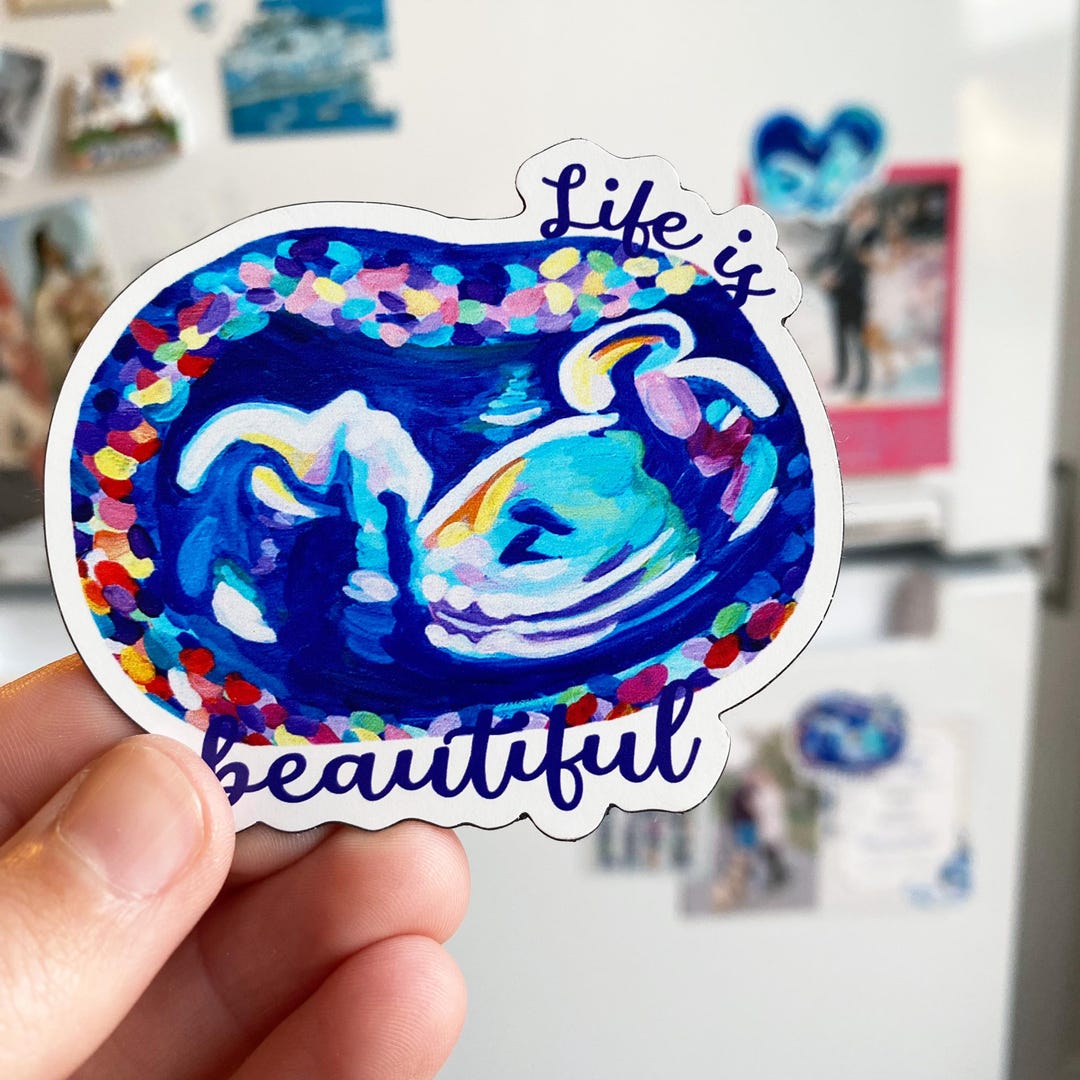 Pro-life Ultrasound Magnet, Baby Sonogram Art Magnet, Choose Life Gift ...