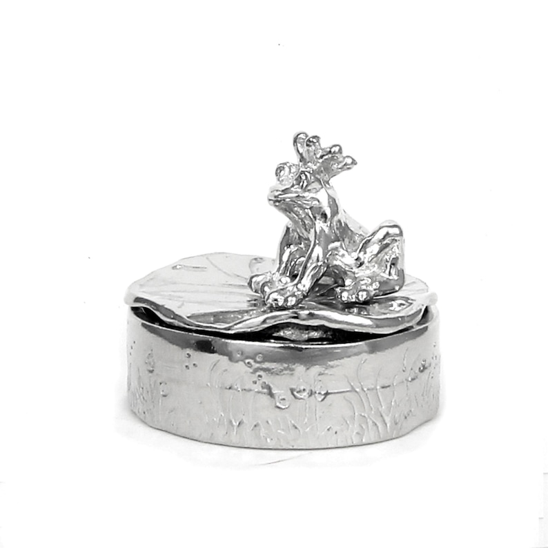 Frog Prince Tooth Fairy Treasure Box-happily Ever After-disney | Etsy