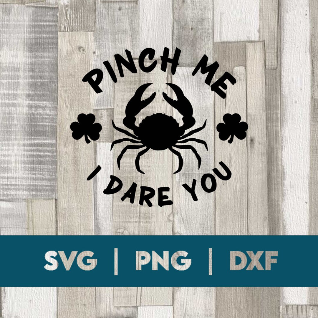 Pinch Me Svg, St Patrick's Day Svg, Cricut File, Pinch Me I Dare You ...