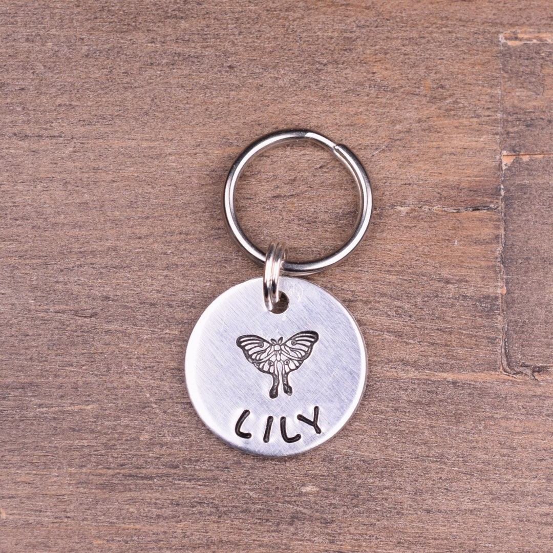 Small Garden Bug Pet Tag Personalized With Your Pet's Name and Number ...