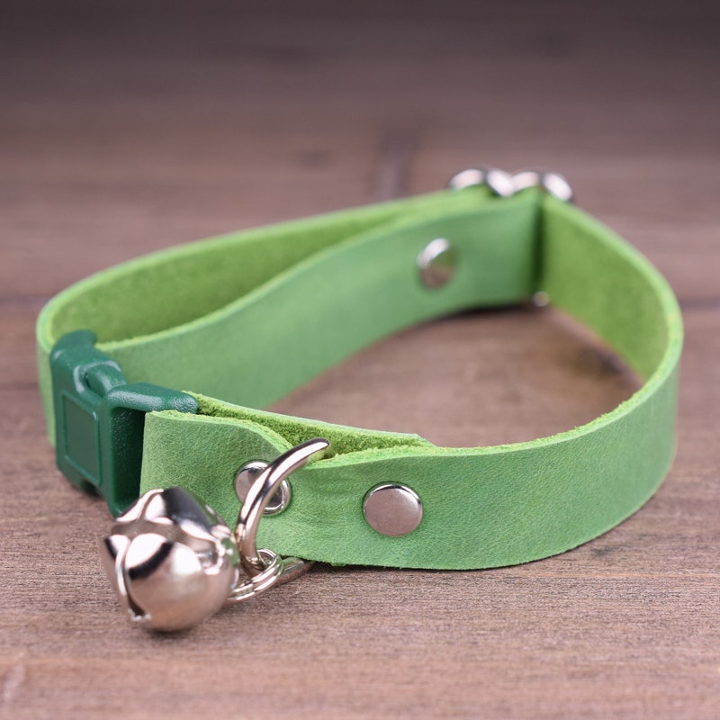 Custom Cat Collar - Etsy