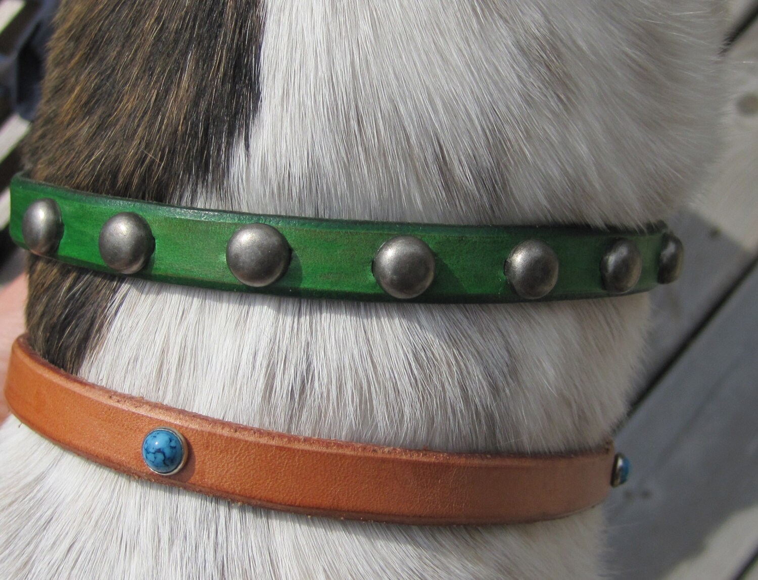 Tag Collar Leather Dog Tag Collars Greyhound Tag Collar | Etsy