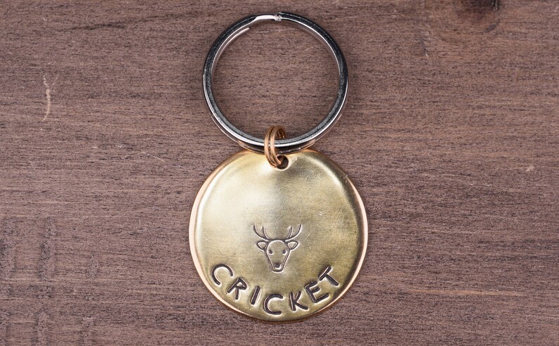 Extra Large Pet ID Tag Personalized Dog Tags for Dogs | Etsy