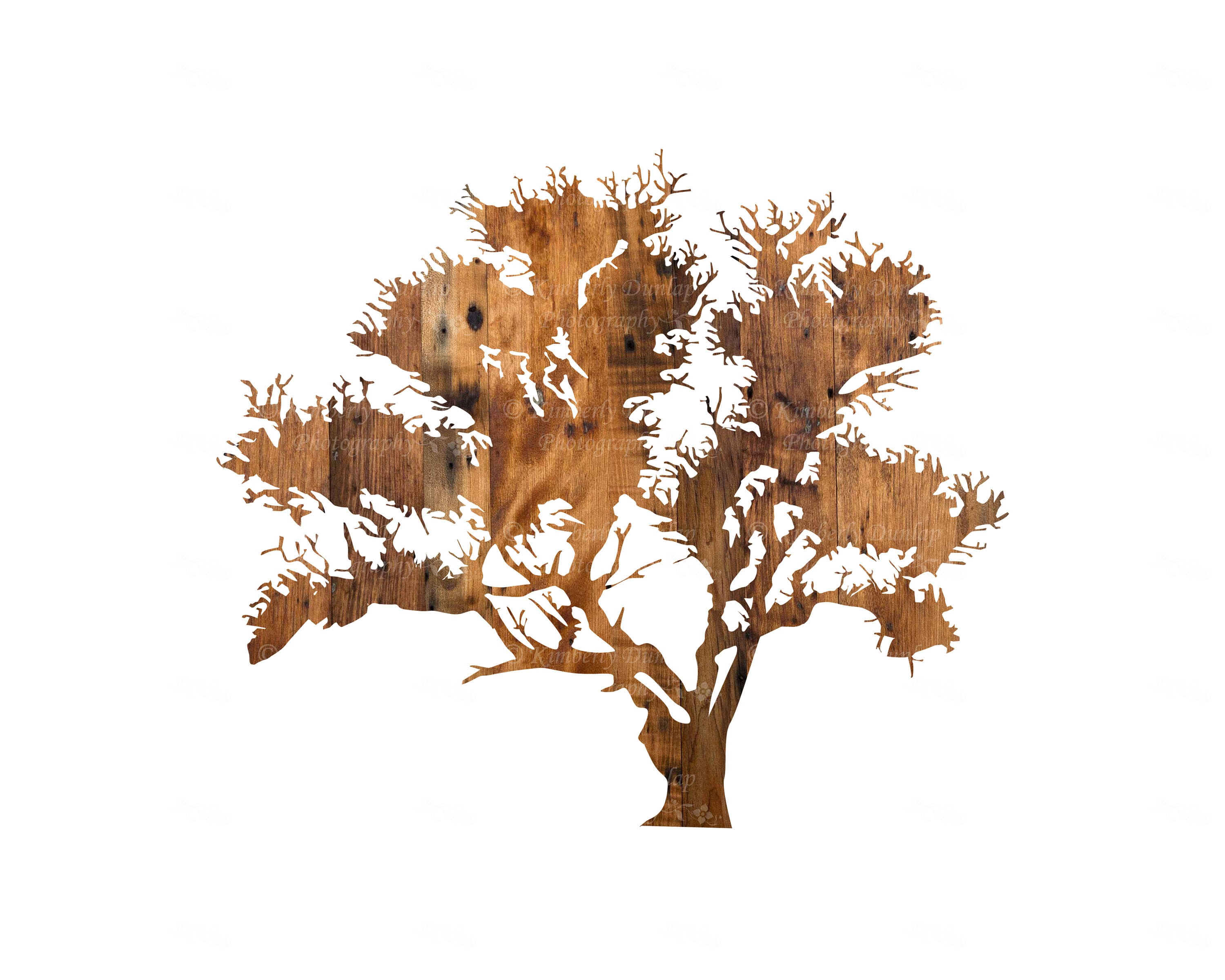 Textured Wooden Tree Art Print {digital Artwork Wood Barn Woodsy Forest ...